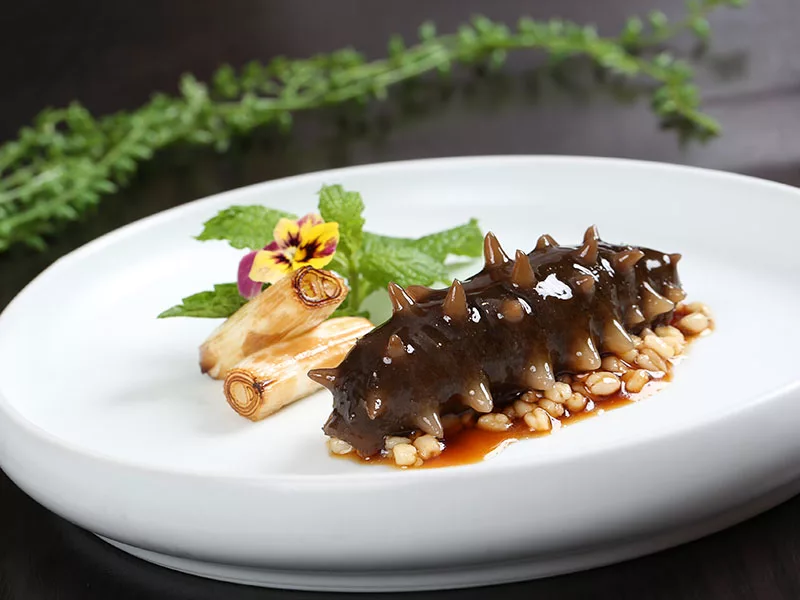 Regional Asian Cuisine: A Ride Through Asia's Gastronomy 2023