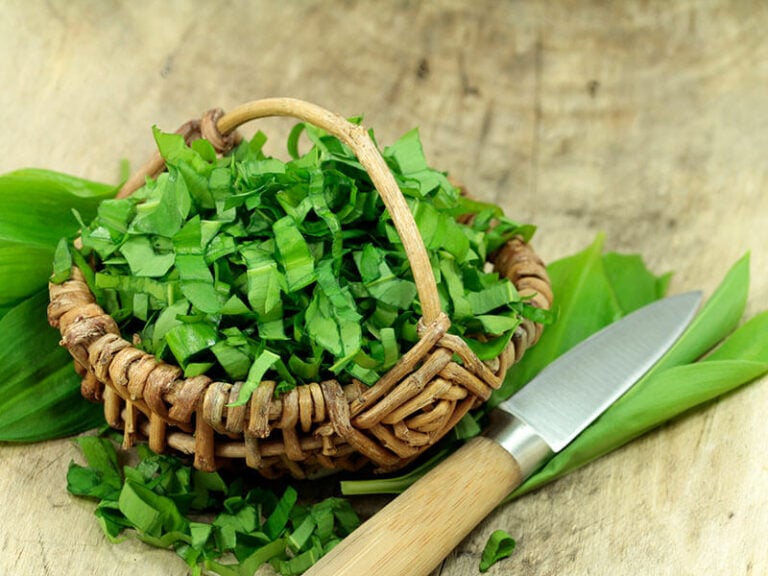 49 Best European Spices and Herbs: Your Must-Have List