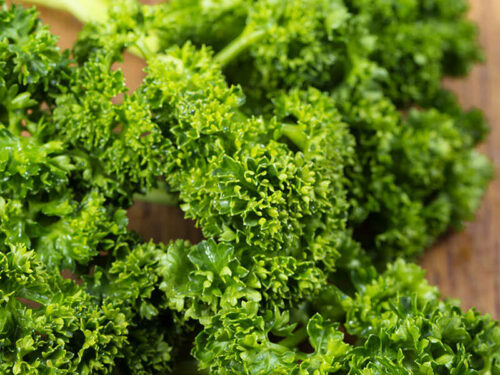 49 Best European Spices and Herbs: Your Must-Have List