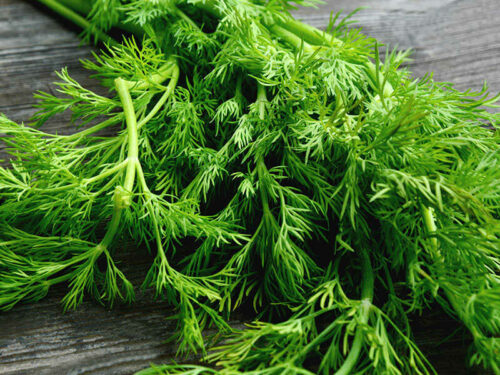 49 Best European Spices and Herbs: Your Must-Have List