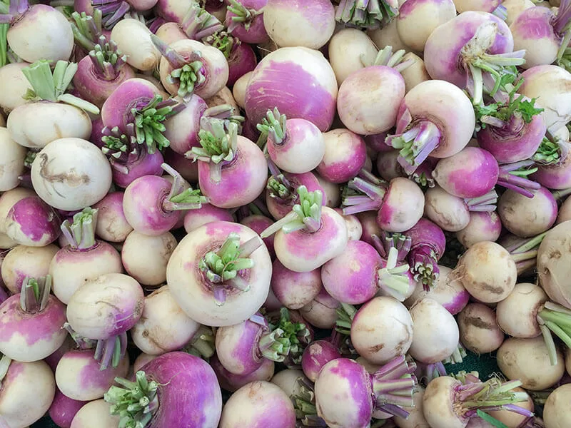 49 Foods That Start With N: Navigating “N” Nutriments 2023