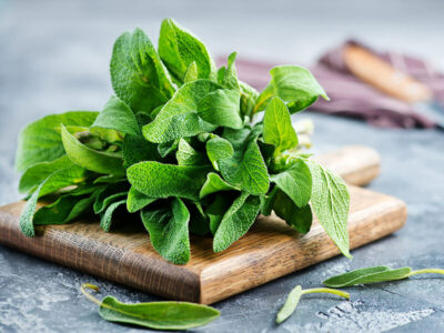 49 Best European Spices and Herbs: Your Must-Have List