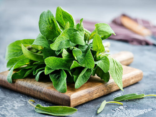 49 Best European Spices and Herbs: Your Must-Have List