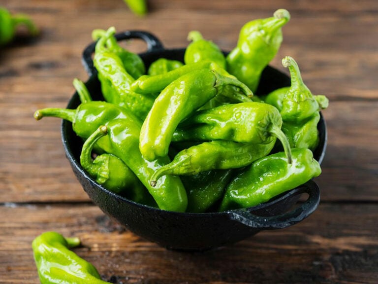 40 Popular European Vegetables to Explore