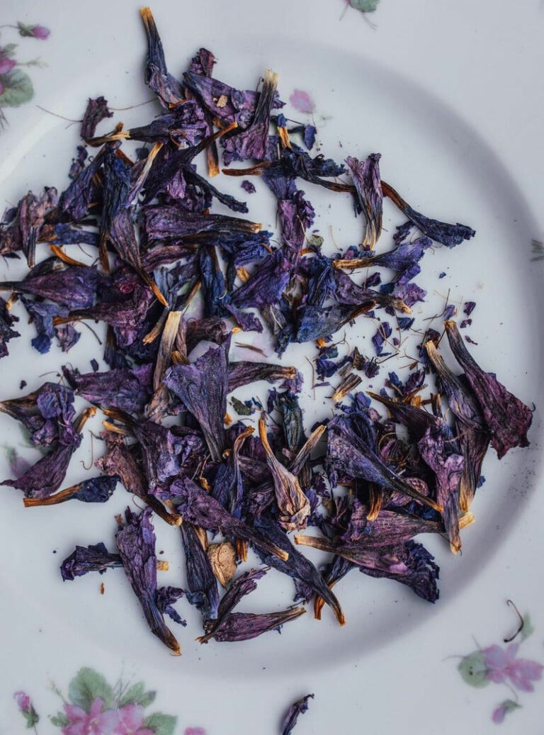 43 Best Middle Eastern Drinks - L’Academie de Cuisine