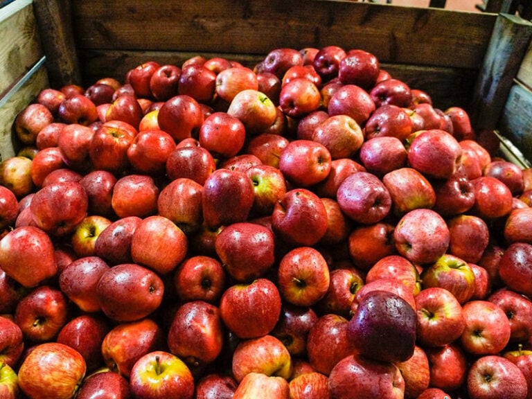 73 Exquisite European Fruits: Your Guide