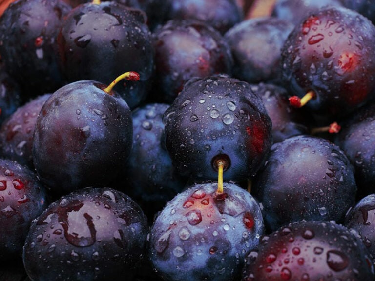 43 Popular Middle Eastern Fruits & Vegetables: Guide