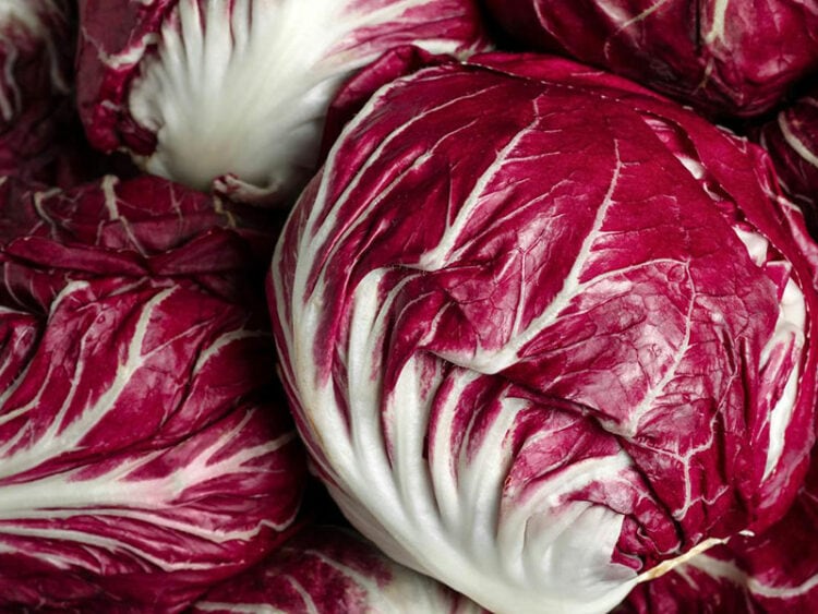 40 Popular European Vegetables to Explore