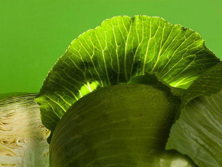 40 Popular European Vegetables to Explore