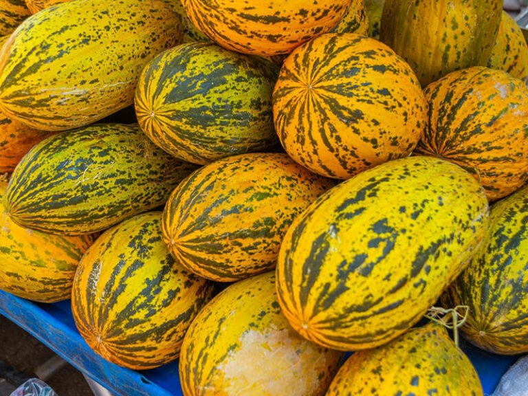 43 Popular Middle Eastern Fruits & Vegetables: Guide