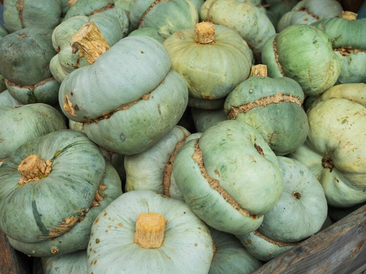 40 Popular European Vegetables to Explore in 2024